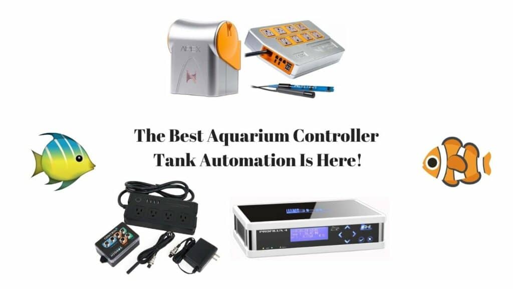 Best Aquarium Controller (2025 Reviews Top Picks!)