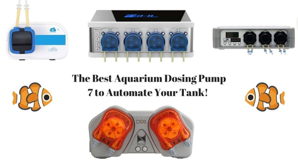 BEST AQUARIUM DOSING PUMP ( REVIEWS) - 7 TO AUTOMATE YOUR TANK!
