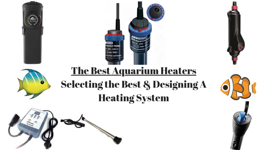 The 11 Best Aquarium Heaters Of 2024 [Tested & Reviewed]