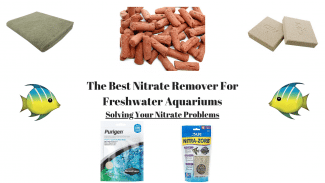 THE 10 BEST NITRATE REMOVERS FOR FRESHWATER AQUARIUMS (2024 REVIEWS)