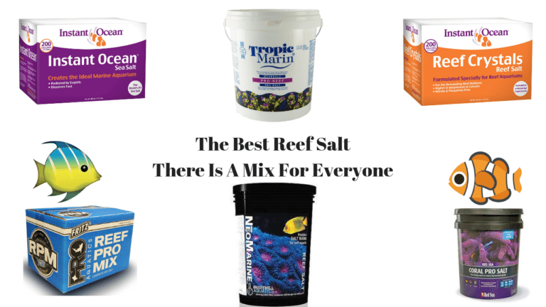 The 7 Best Reef Salt Mixes of 2024 - Reviewed And Tested
