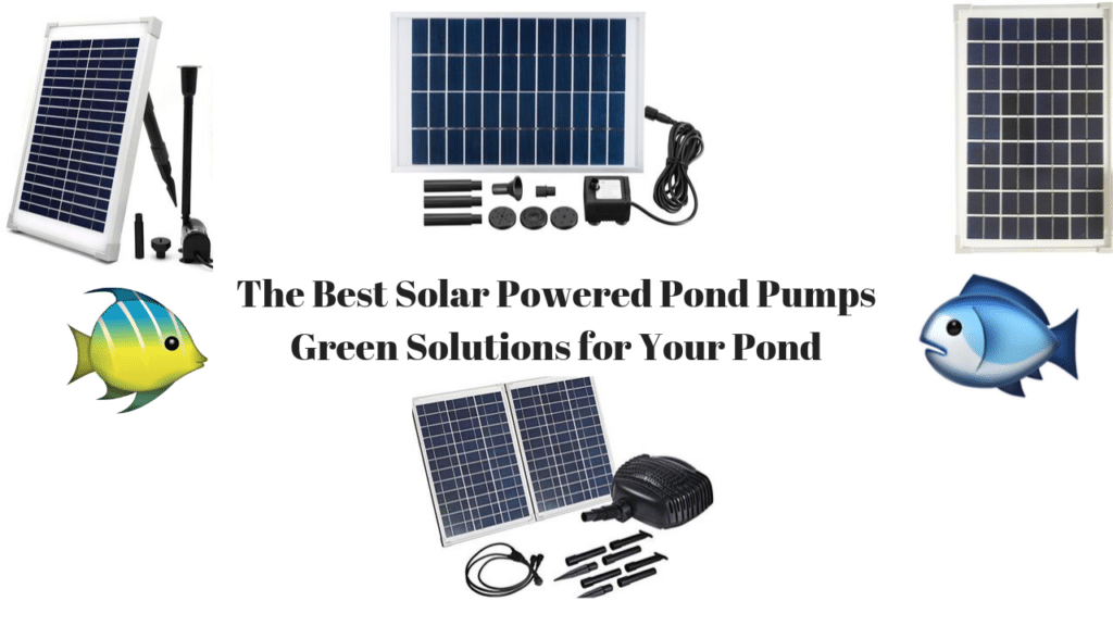 BEST SOLAR POWERED POND PUMP - 2024 (REVIEWED & COMPARED) 🏅