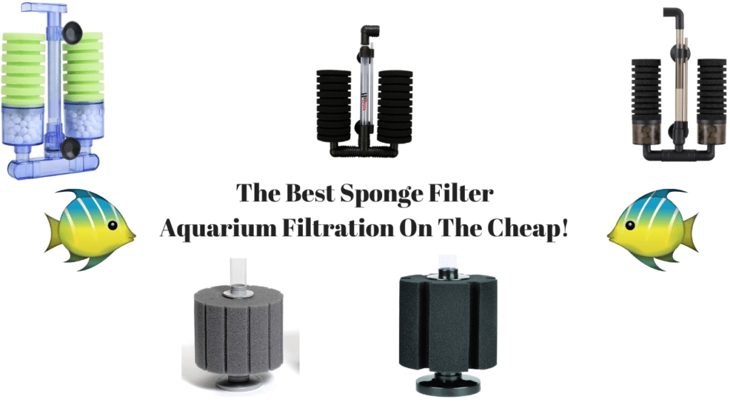 The 7 Best Sponge Filters For 2024 [Tested And Reviewed]