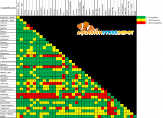 Popular Freshwater Fish Compatibility Chart - A Complete List ...