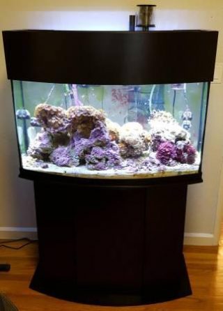 Cheap Fish Tanks - 5 Tips to Get You the Best Deal - AquariumStoreDepot