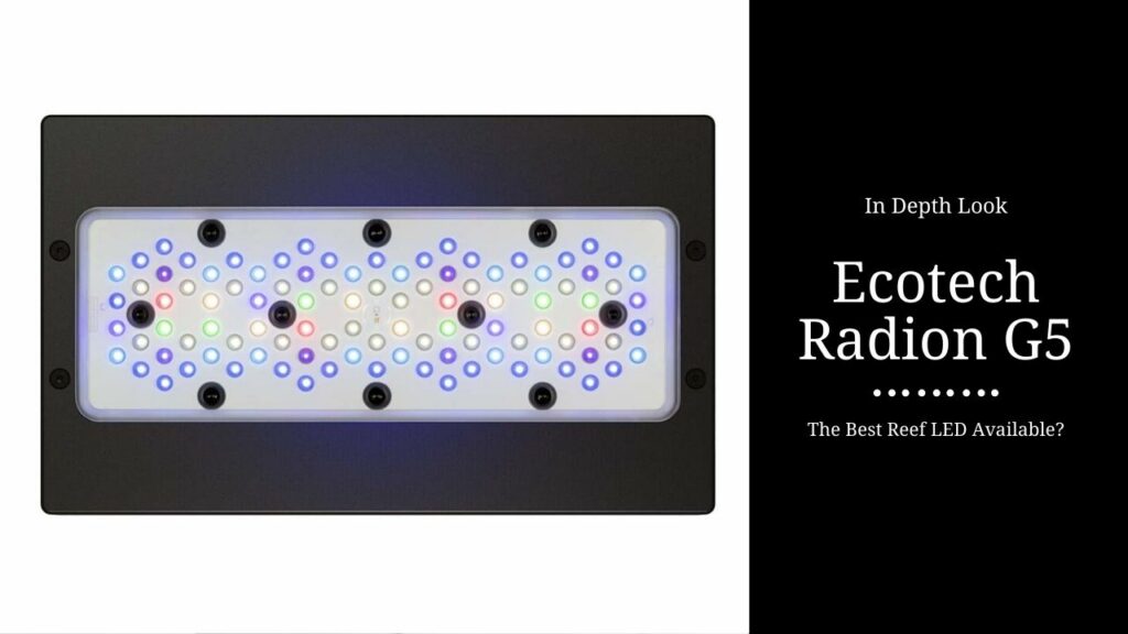 EcoTech Radion G5 Review: Is the Premium Price Worth It for Your Reef ...