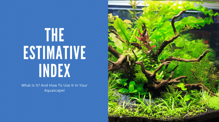 Estimative Index (EI) – What It Is and How To Use It in Your Planted ...