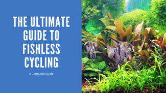 The Ultimate Guide to Fishless Cycling - AquariumStoreDepot