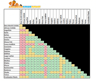 Popular Freshwater Fish Compatibility Chart - A Complete List ...