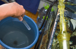 Aquarium Water Change – A Complete How-To Guide - AquariumStoreDepot