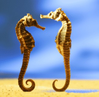 How Do Fish Mate? A Guide to Fish Reproduction (And How to Breed Them ...