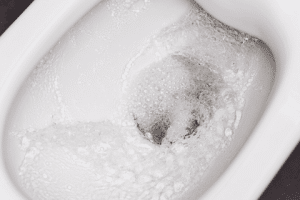 How To Euthanize A Fish - 1 Humane (and 7 Others MEthods To Avoid ...