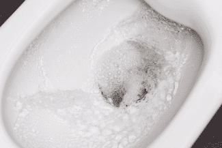 How To Euthanize A Fish - 1 Humane (and 7 Others MEthods To Avoid ...