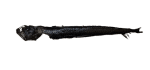 15 Most Unusual Deep Sea Fish Ever Discovered (With Photos ...
