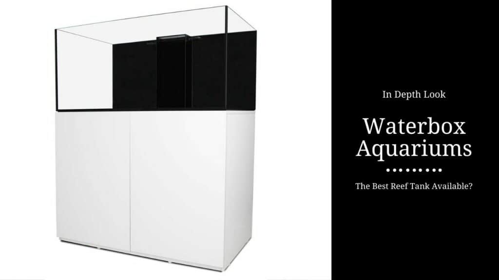 WaterBox Aquarium Review - An IN-DEPTH Look - AquariumStoreDepot