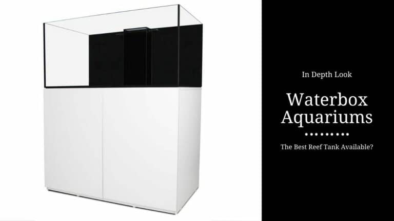 WaterBox Aquarium Review - An IN-DEPTH Look - AquariumStoreDepot