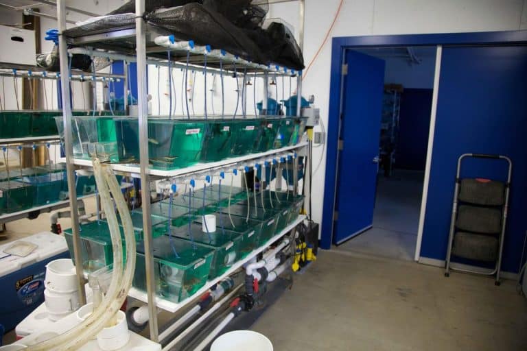 Aquarium Equipment & Gear: The Complete Buying Guide - AquariumStoreDepot